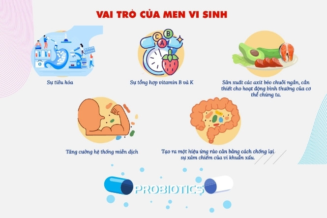 Phân biệt men vi sinh và men tiêu hoá: Bản chất, công dụng và cách dùng